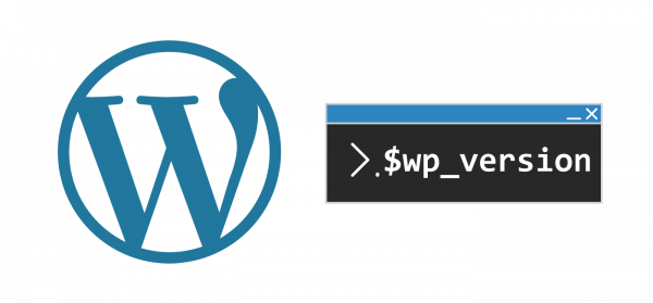 Checking the Current WordPress Version via Command Line with(out) WP-CLI