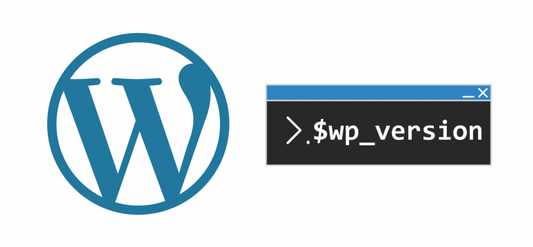 Checking The Current Wordpress Version Via Command Line With Out Wp Cli
